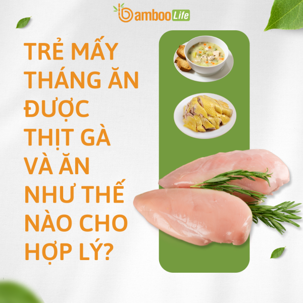 Giới thiệu về đai tập đi cao cấp cho bé Bamboo Life - Bamboo Life